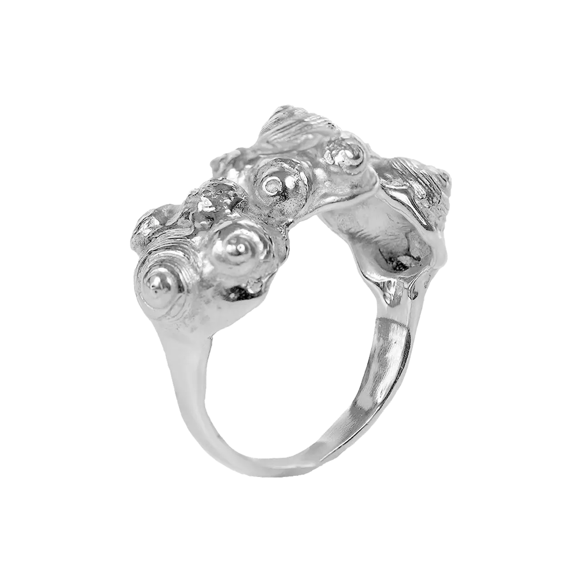 Carapace Fossile II - Silver – Fontennoy